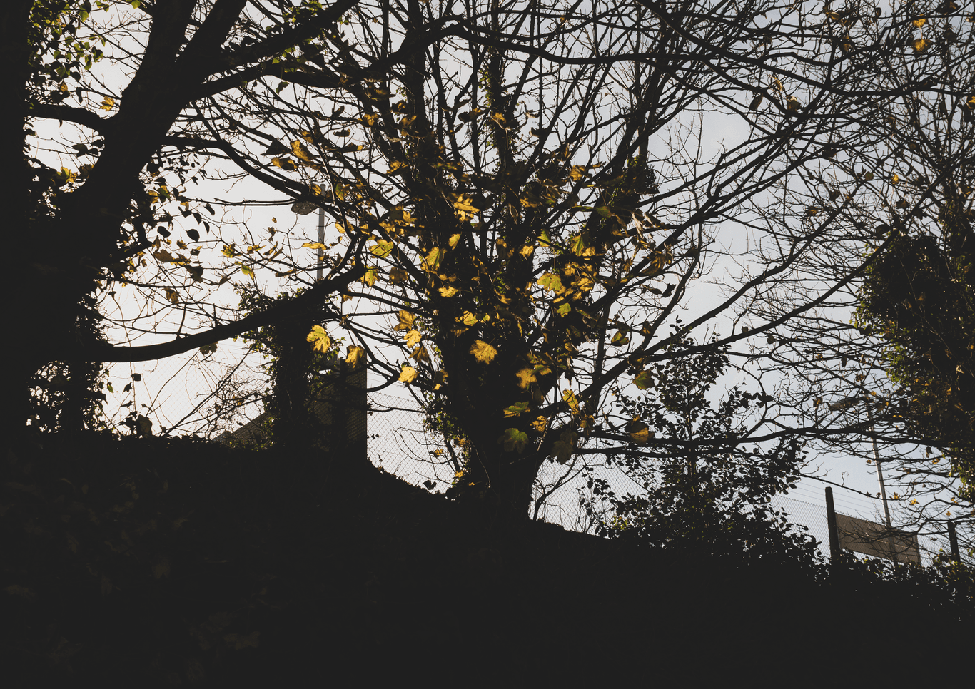 Vicky Waters, photographer. | Vicky Waters.