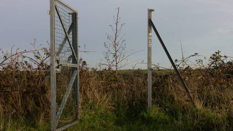 Vicky Waters, photographer. | Vicky Waters.